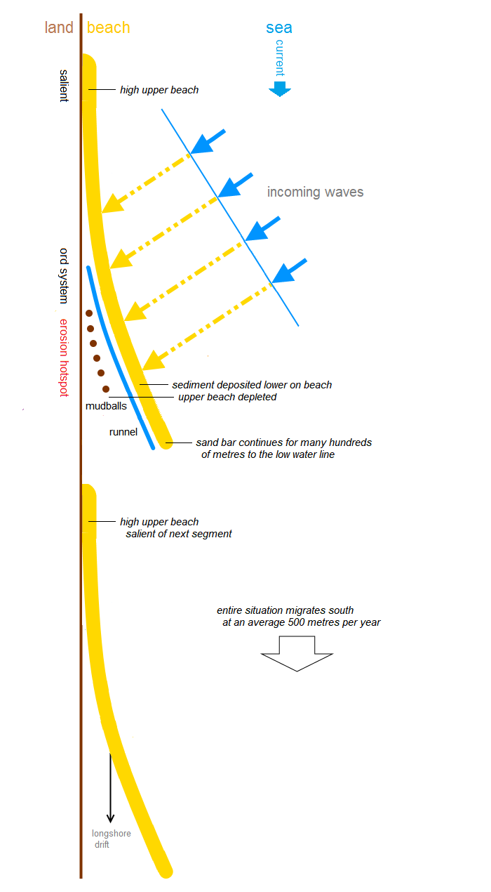EAST YORKSHIRE COASTAL EROSION - BEACH MOVEMENT (SEDIMENT SEGMENTATION)